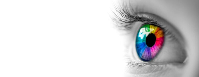 Sehvorgang: einfach erklärt | Augenarzt Dr. Zenk